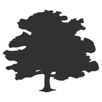 Asset Management - Wild Oak Capital